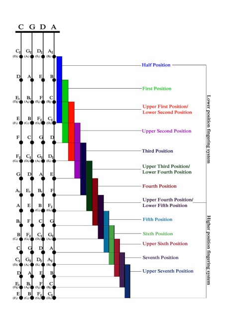 cello fingerboard chart – The Cello Companion