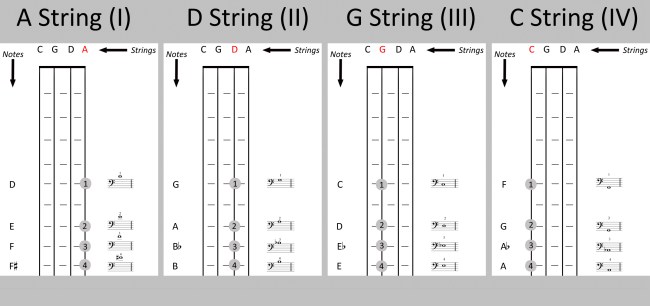 cello fingerboard chart – The Cello Companion
