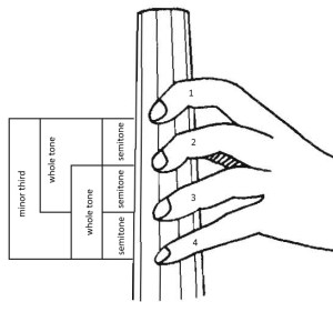 cello tenor clef – The Cello Companion