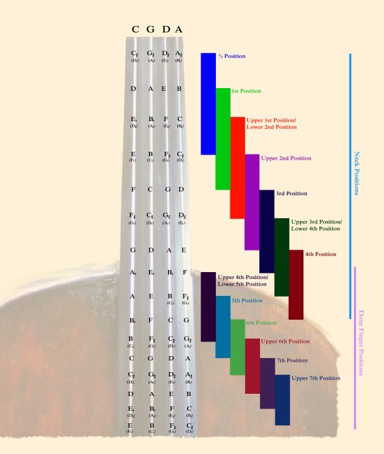 cello fingerboard chart – The Cello Companion